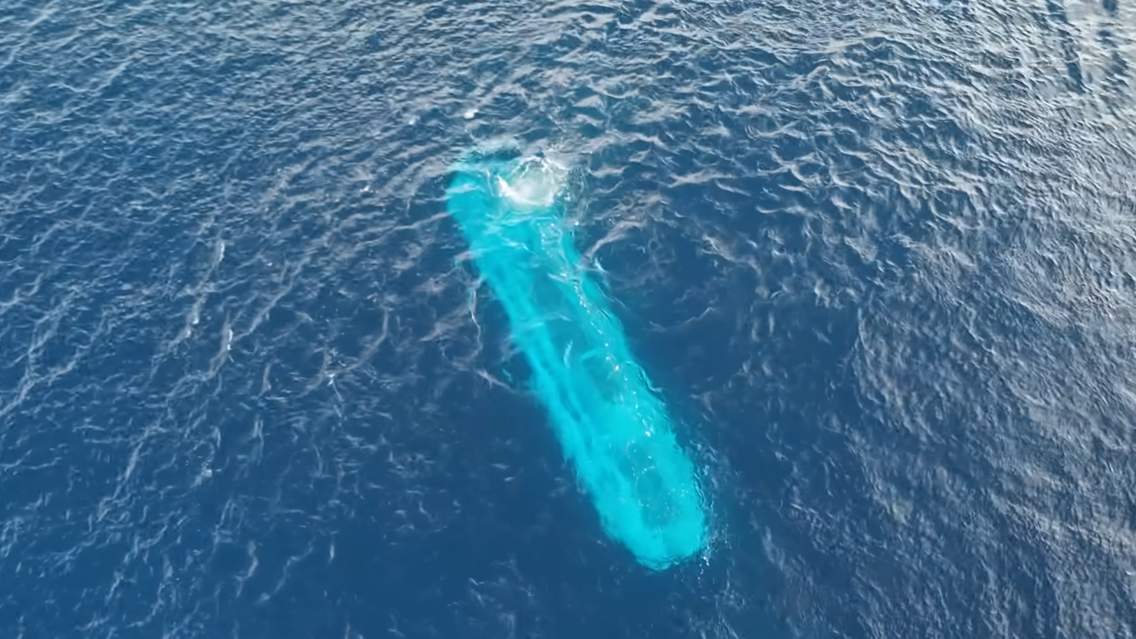 Watch what happens at 100 feet below the ocean - "It gets dark fast"