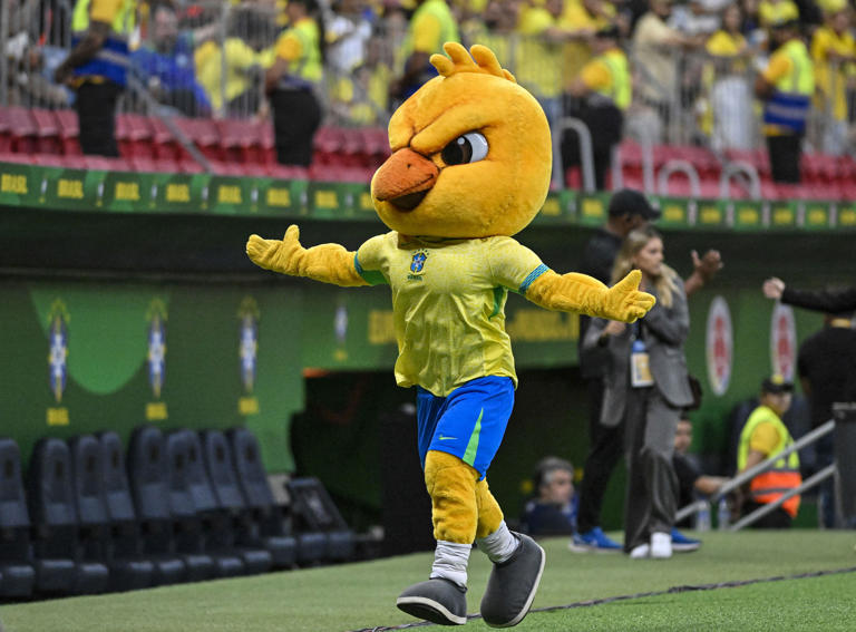2026 World Cup: From 'Les Bleus' to 'The Blue Wave,' here are the ...