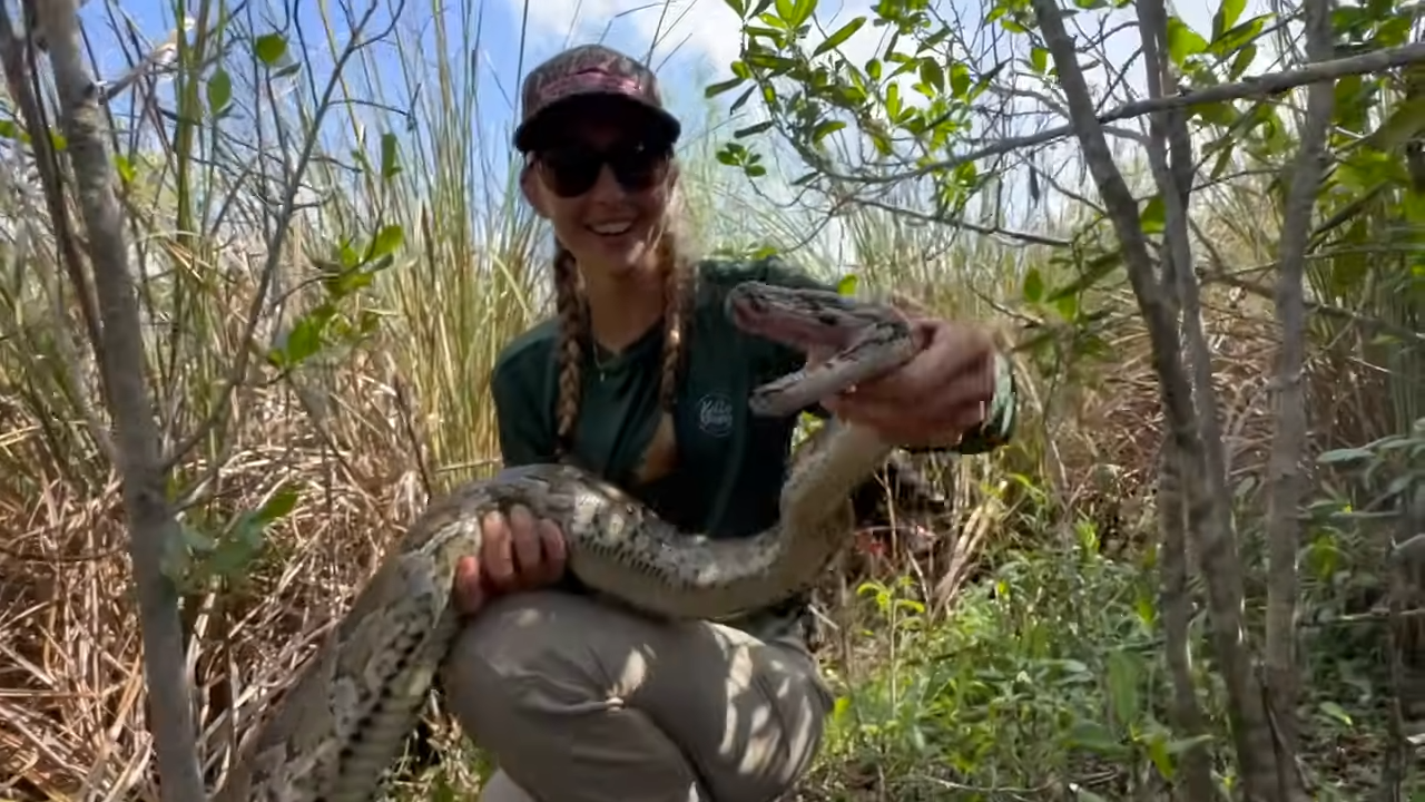 They spotted a 10-foot python in the Florida swamp... then it vanished ...