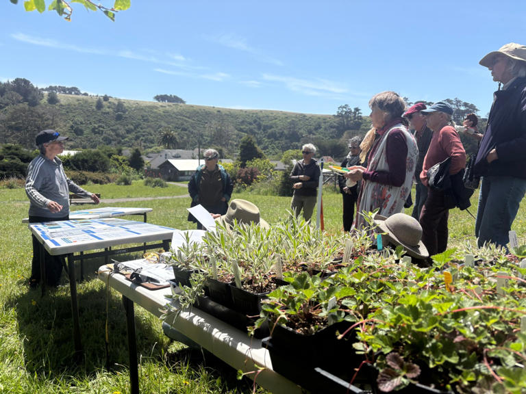 Mendocino County Fire Safe Council awards $122,000 for local wildfire ...