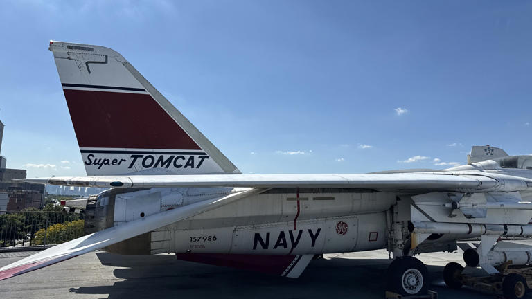 The US Navy’s F-14 Tomcat only exists because one of the worst programs ...