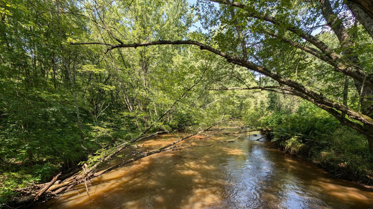 Wisconsin's 'Gateway to Crex Meadows' is a cozy village surrounded by ...