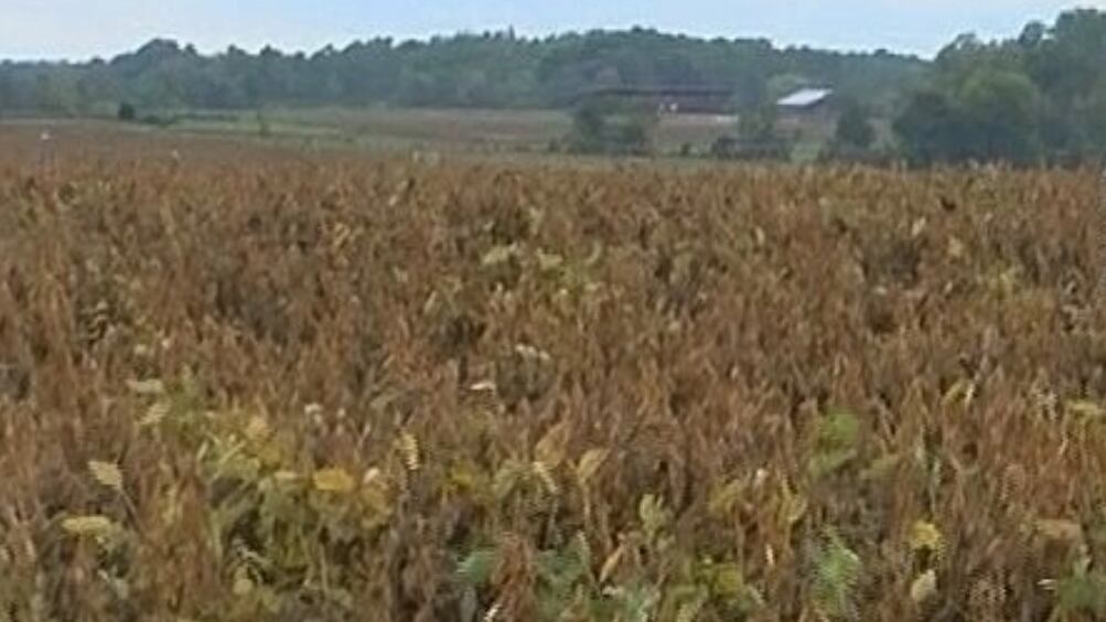 Federal small business loans open to local victims of drought