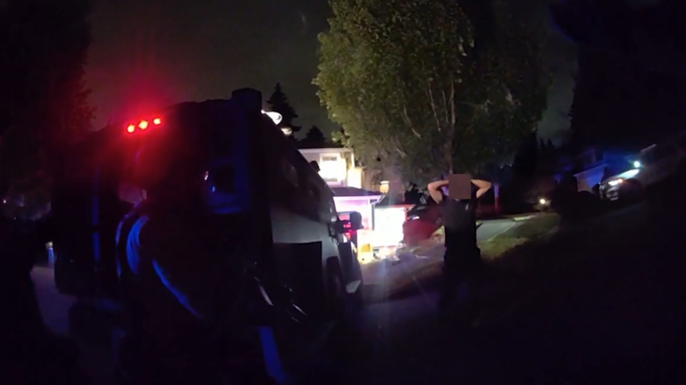 Snipers, drones, tear gas. UP neighborhood disrupted during DV standoff
