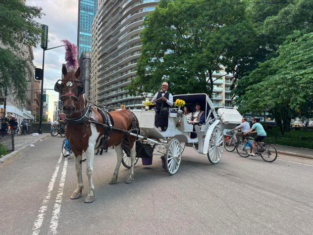 Push for NYC horse carriage ban returns after horse's sudden death in ...