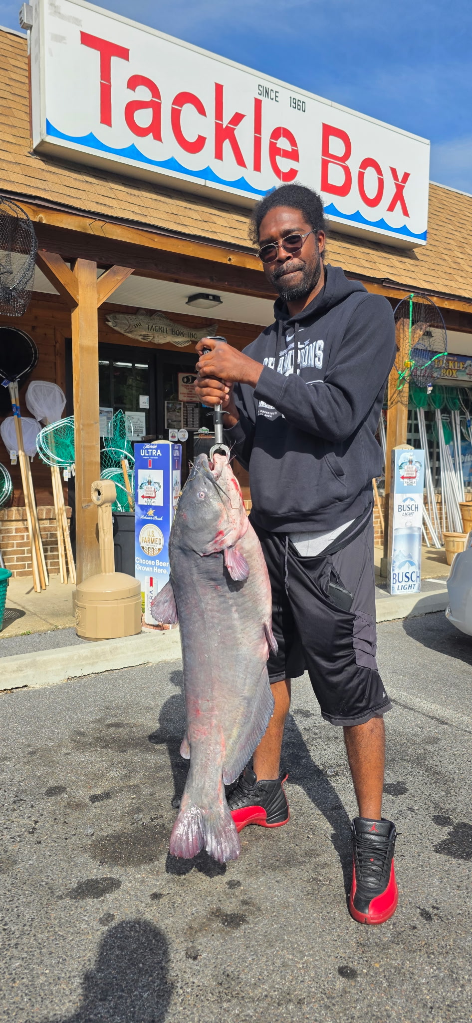 Mackerel, bluefish and cobia reported in local waters