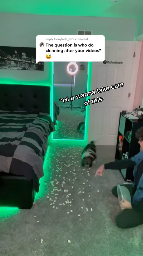 Puppy helps clean my room in the funniest way