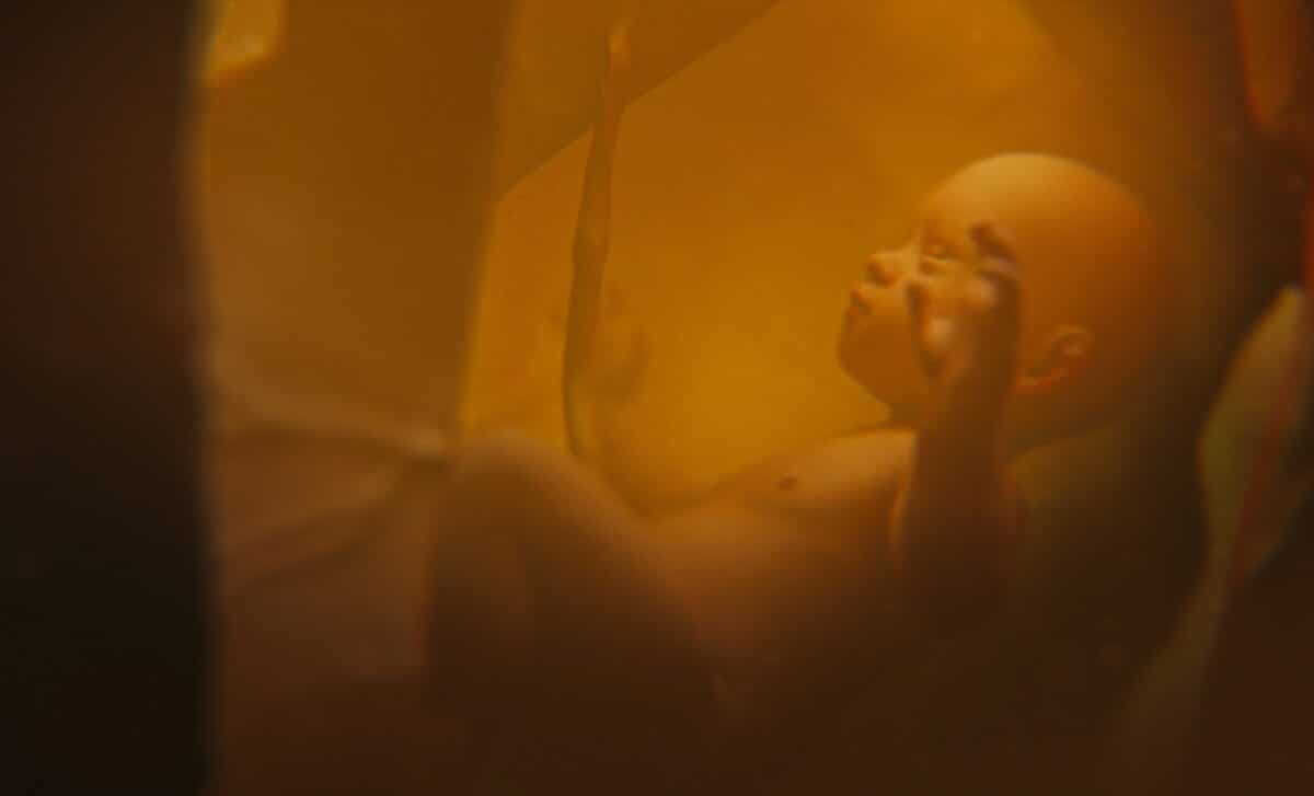 China becomes the first nation to send synthetic human embryos to space