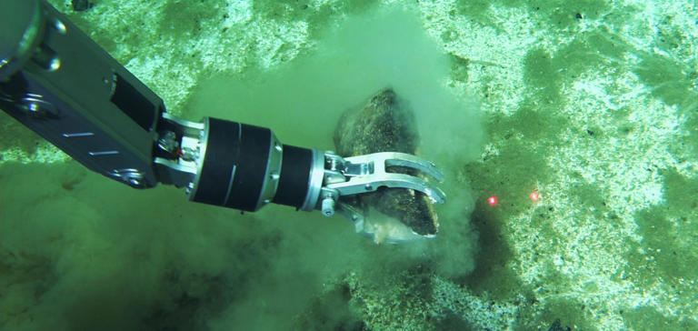 At the bottom of the Indian Ocean a deep sea robot discovered something ...