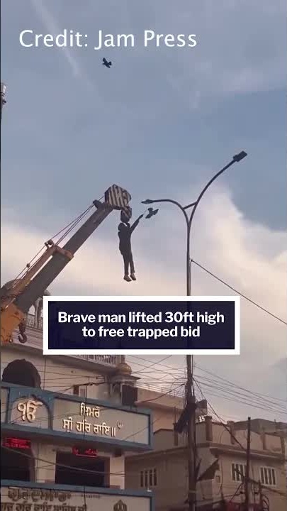 Brave man rescues bird trapped on lamppost using crane
