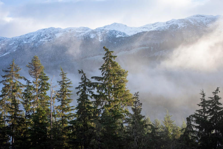 The net-zero math problem: Why Canada’s climate targets and its energy ...