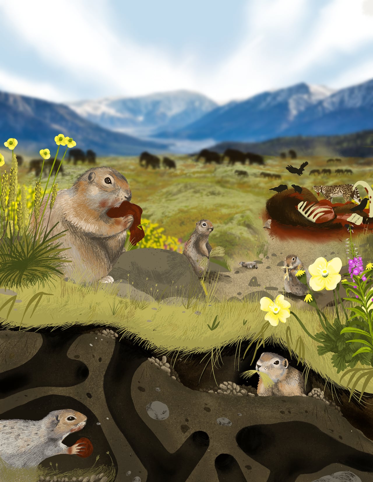 Squirrel poop dating back to last ice age is full of mammoth, horse DNA