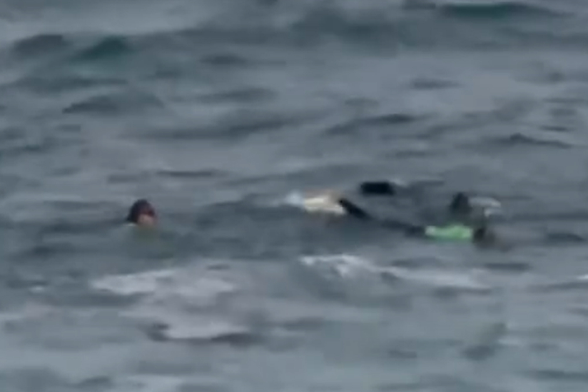 Desperate search for girl after monster wave sweeps her away from her ...