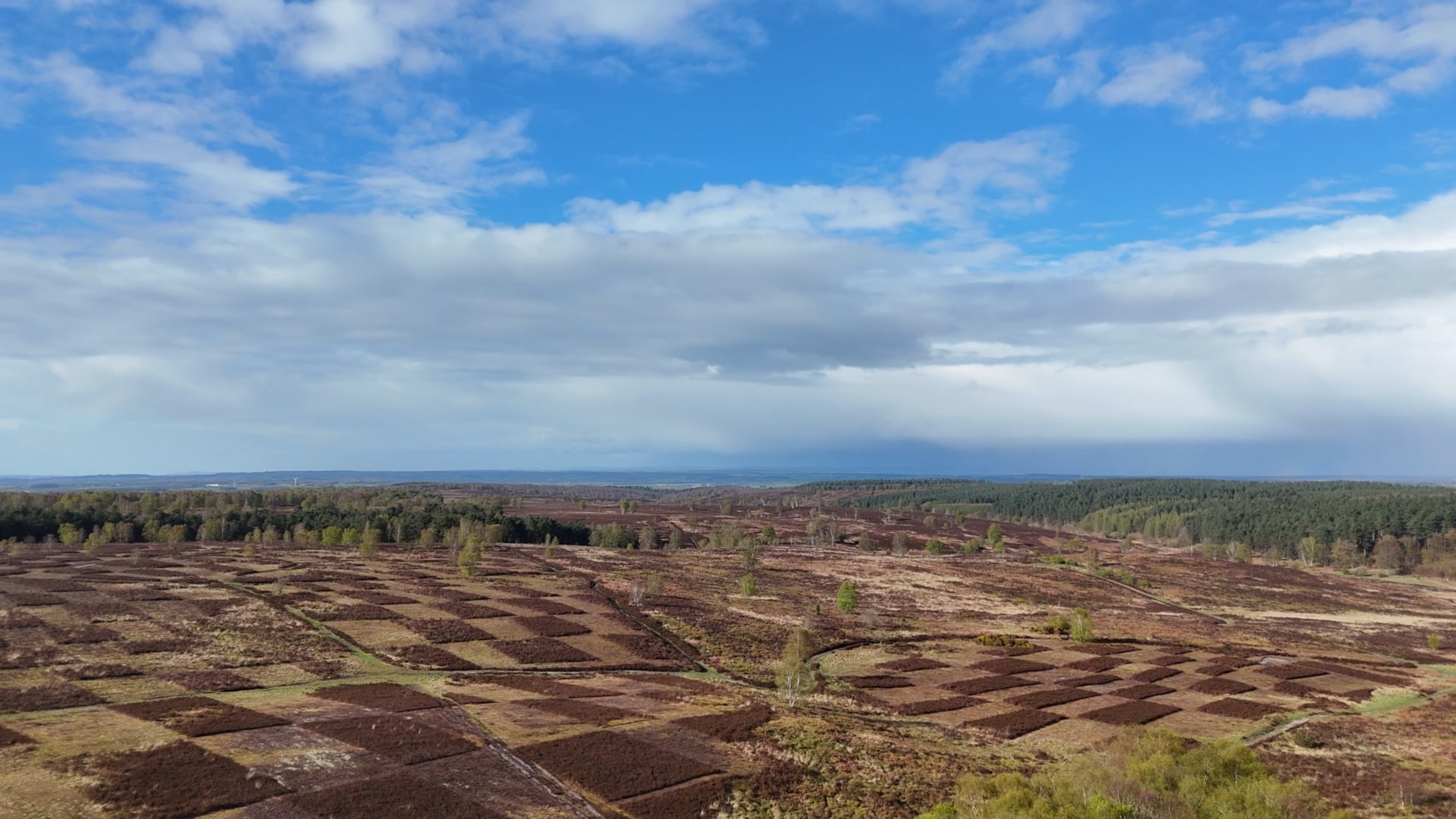 Why Cannock Chase remains one of Staffordshire’s best days out