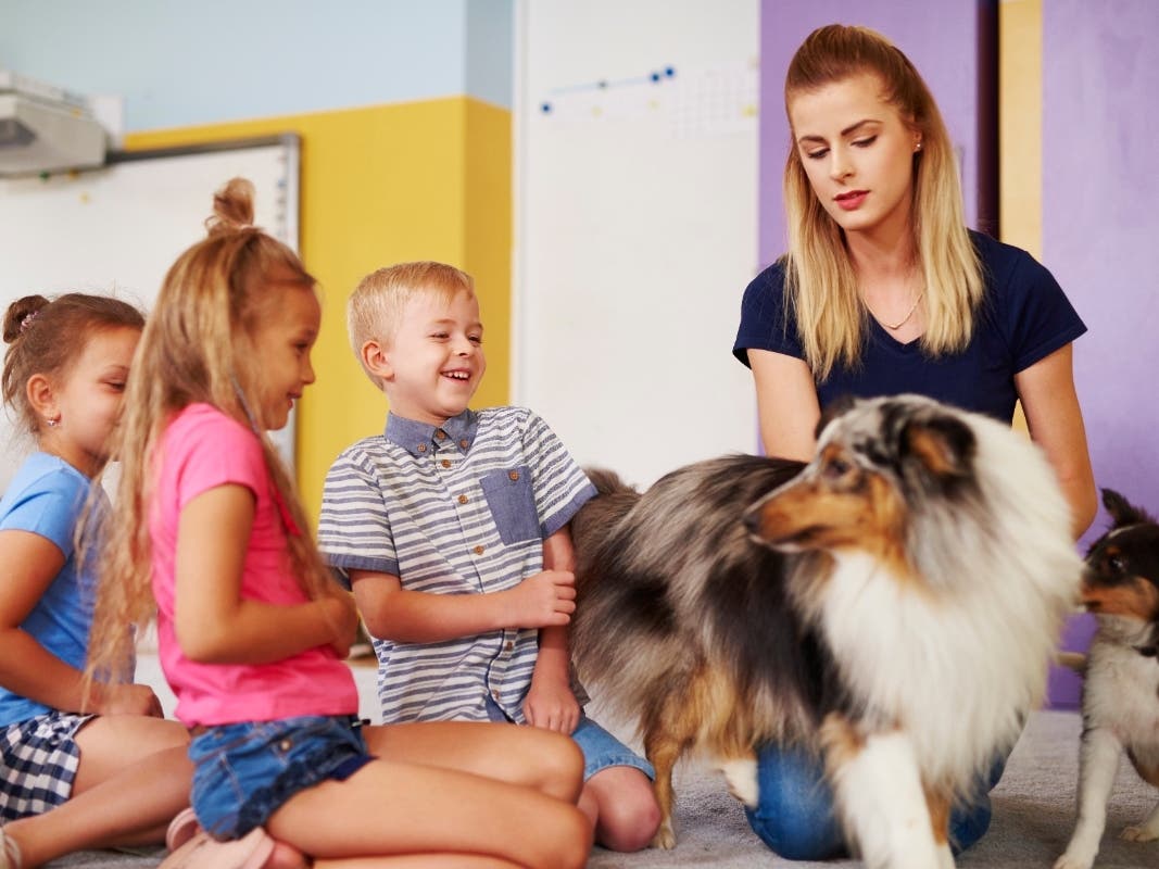 New bill could put more therapy dogs in NJ classrooms