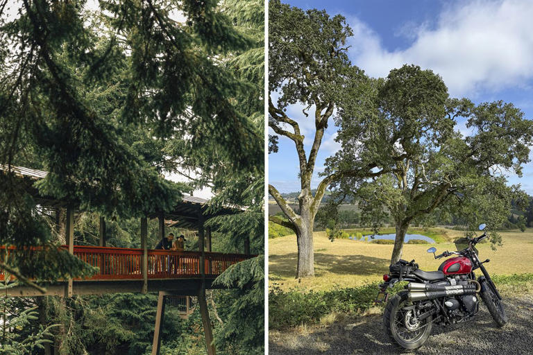 I spent a week touring Oregon's wild coast by motorcycle—here's why it ...