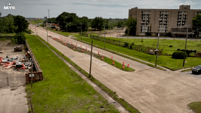 Mobile airport development: Uprooted oak trees raise concerns
