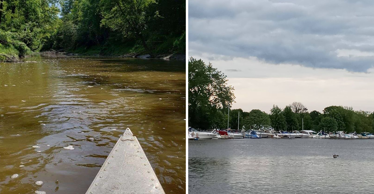 The Ohio River that Congress protected in 1974 and nature has been ...