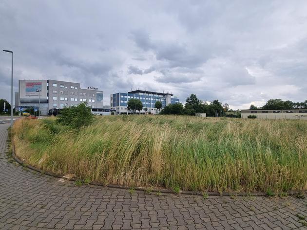 „Freyer“ zieht nicht in Gewerbepark