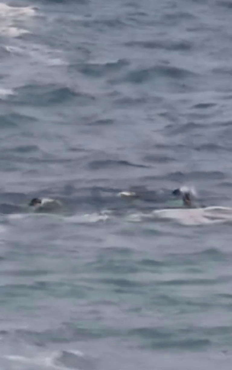 Desperate search for girl after monster wave sweeps her away from her ...