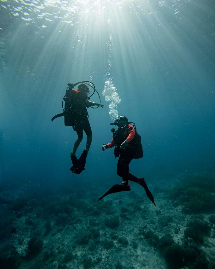 48 diving experiences people still remember years later