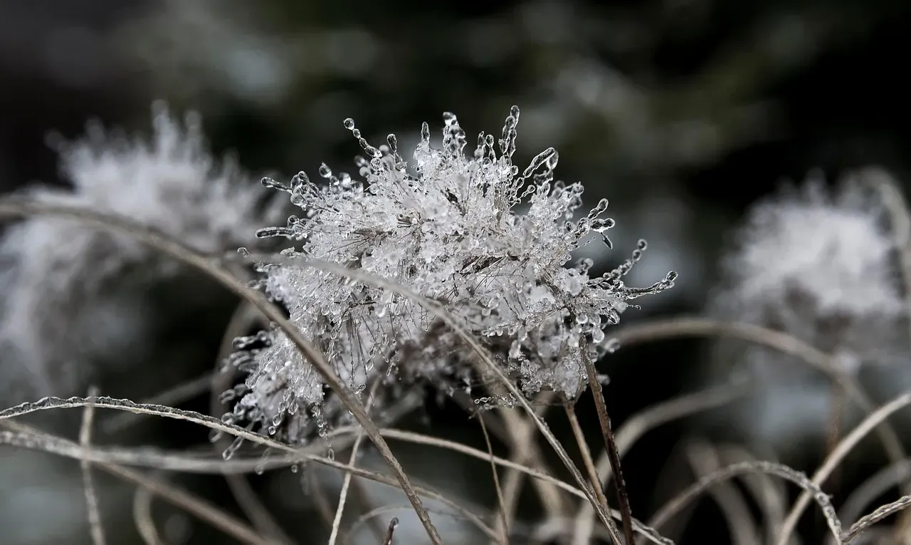 10 subtle signs your region's climate has permanently shifted ...