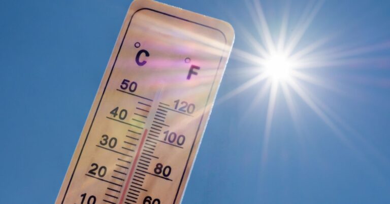 Canicule : la France pourrait de nouveau suffoquer à partir de vendredi