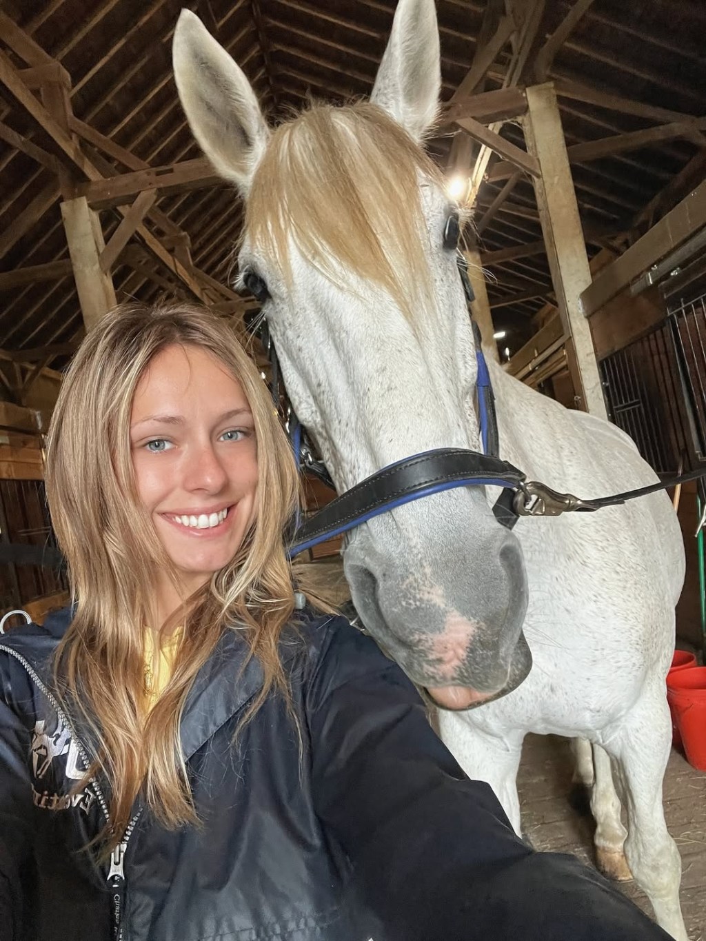 Equestrian, 25, killed in horrific accident after steed refused to jump ...