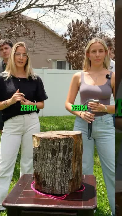 Trivia showdown: Team Ashli vs. Team Brandi in a backyard challenge!