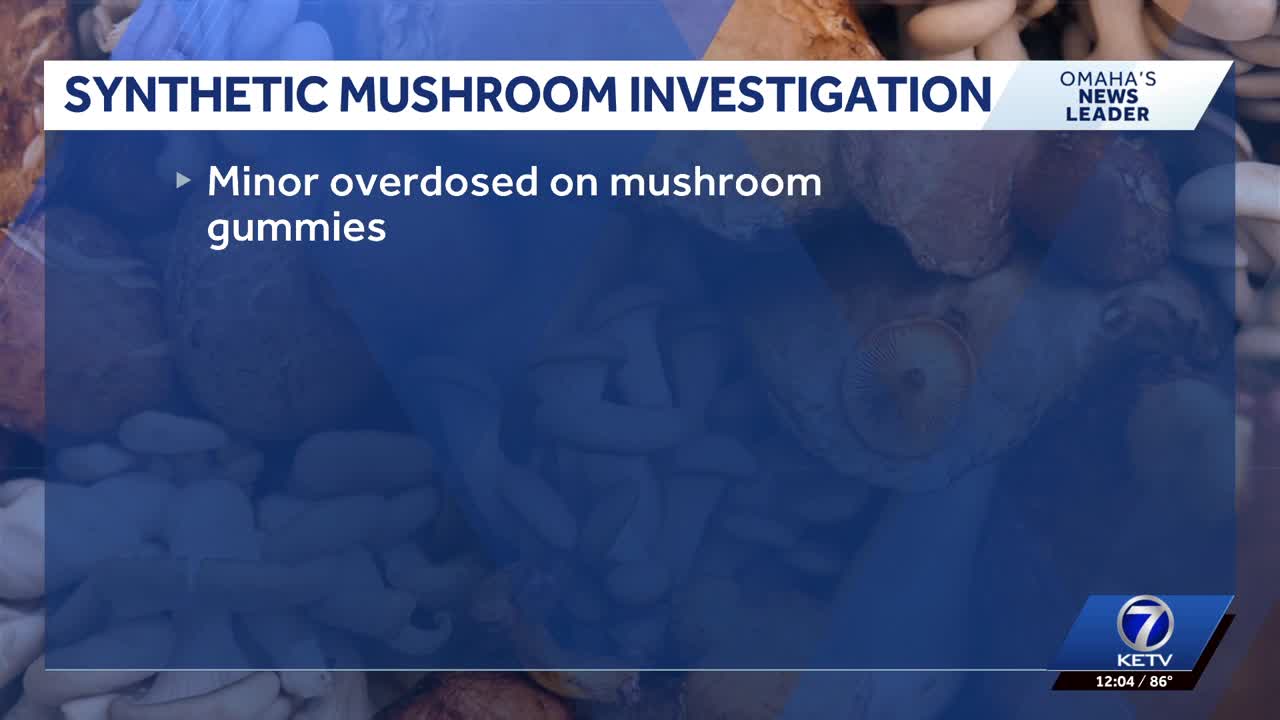 Lancaster County deputies arrest 2 men after minor overdoses on ...
