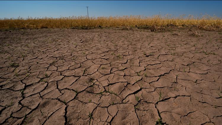 Gov. Kotek declares drought emergency in nearly half of Oregon counties