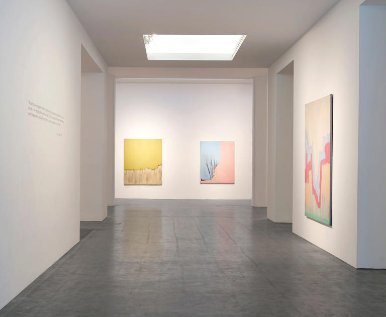 “I love to paint and I love paint”: At 85, the abstract artist Ann ...