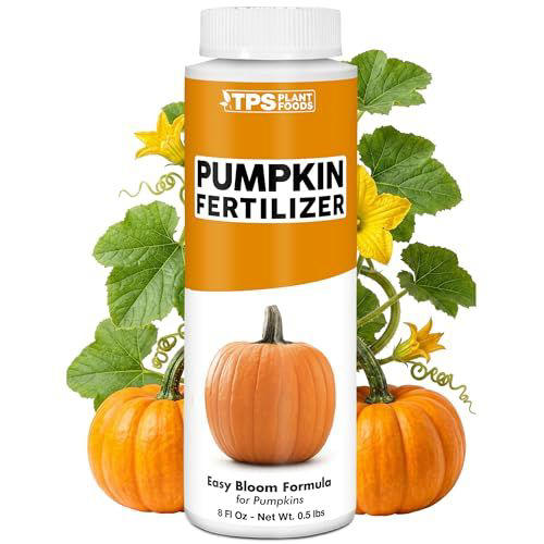 This simple trick helps with watering pumpkins in hot weather - see how ...