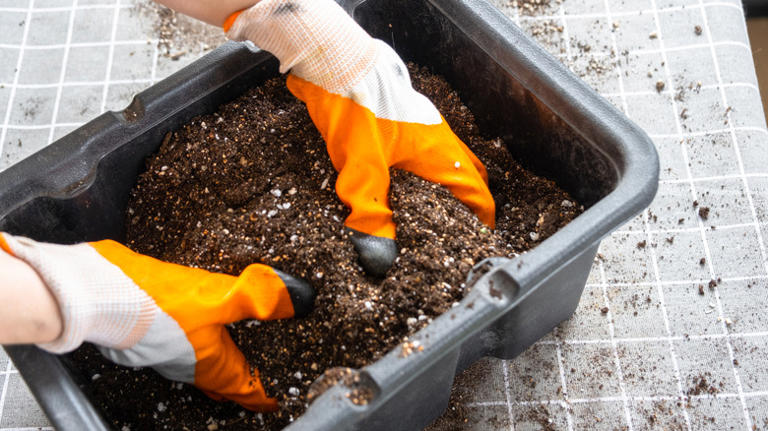 The best type of soil to fill raised garden beds with when growing veggies