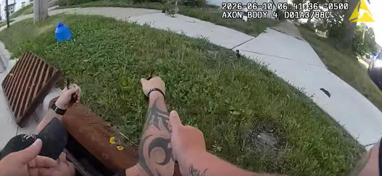 Watertown police officers rescue ducklings from storm drain Wednesday ...