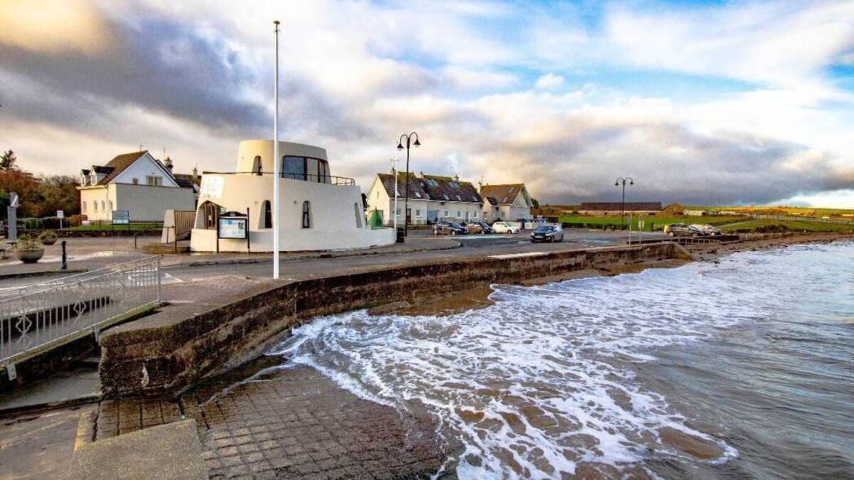 Council investigating Ardmore Beach following loss of Blue Flag status