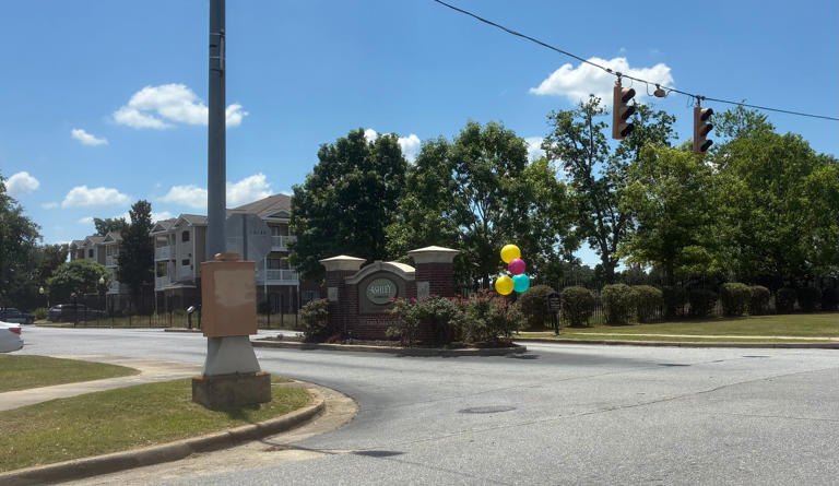 ‘A beautiful building, you’re letting it run down’: Albany residents ...