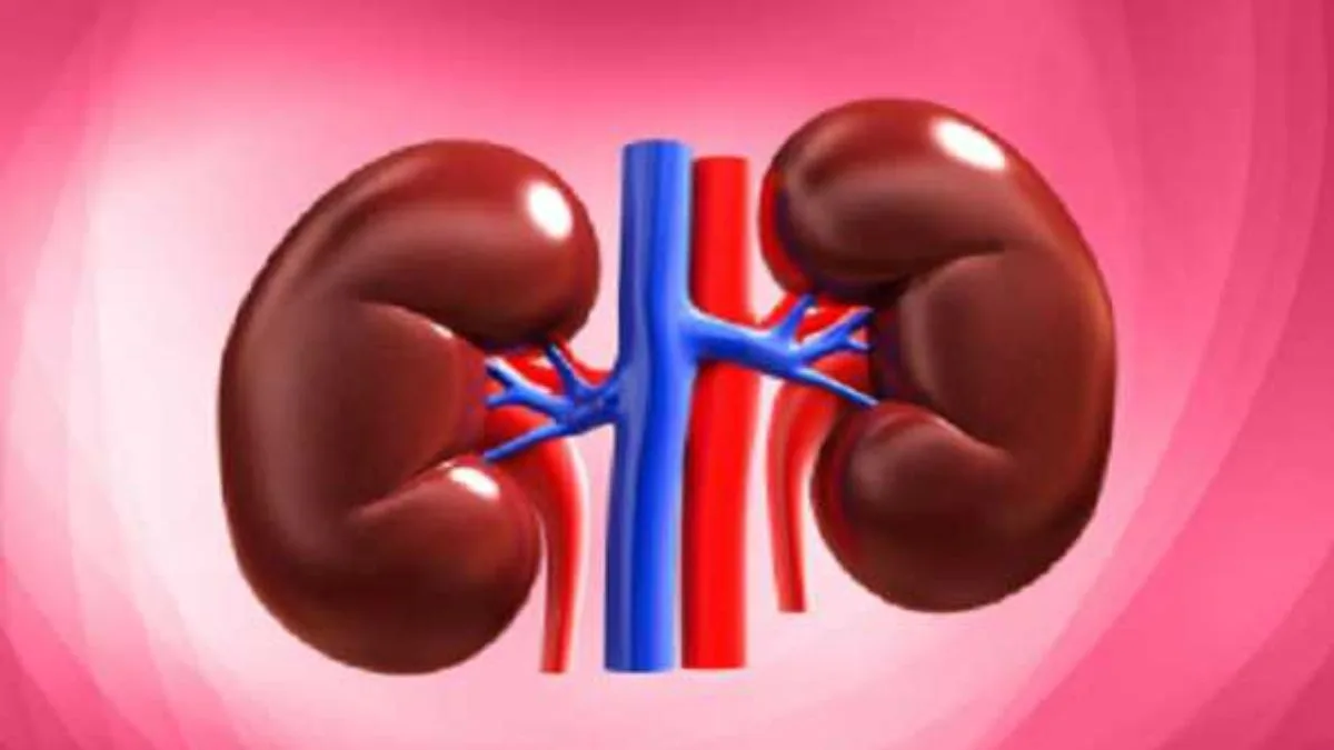PGIMER research advances evidence-based approaches for better kidney ...