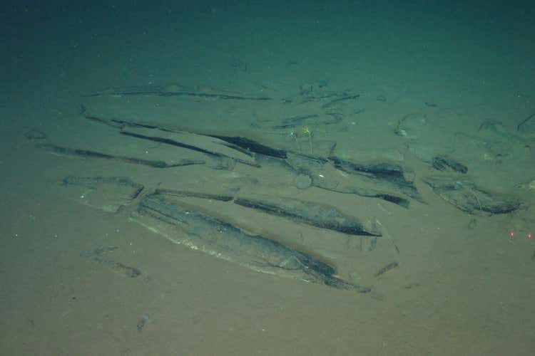 Millions of fossil whale bones found in deep-ocean 'necropolis'