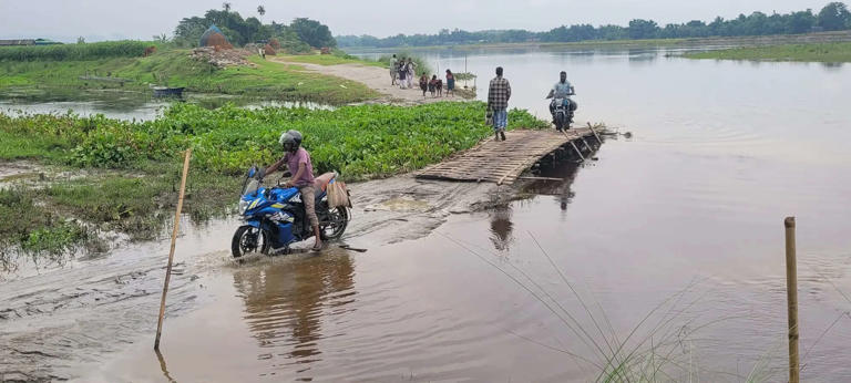 Bilasipara students wade through floodwaters as bamboo bridges submerge