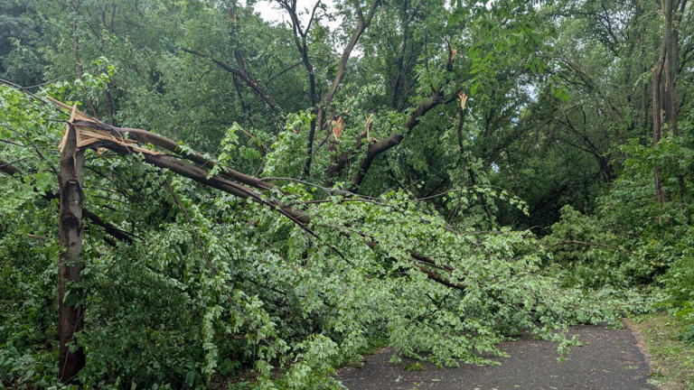 How much rain fell in Minnesota during Tuesday-Wednesday severe storm?