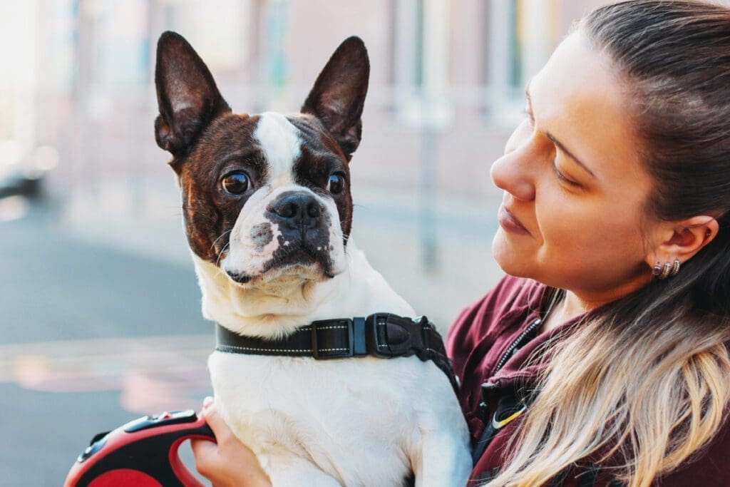 10 dog breeds your cat will love