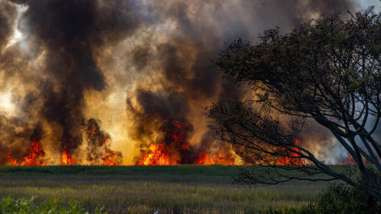 The Canyon Fire has burned 12,000 acres in Southern California and ...