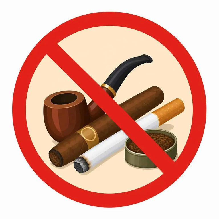 Customs seizes e-cigarettes and vapes worth Rs 93 crores at JNPT