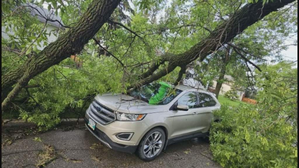 Thousands without power in southern Manitoba after storm causes 'chaos'