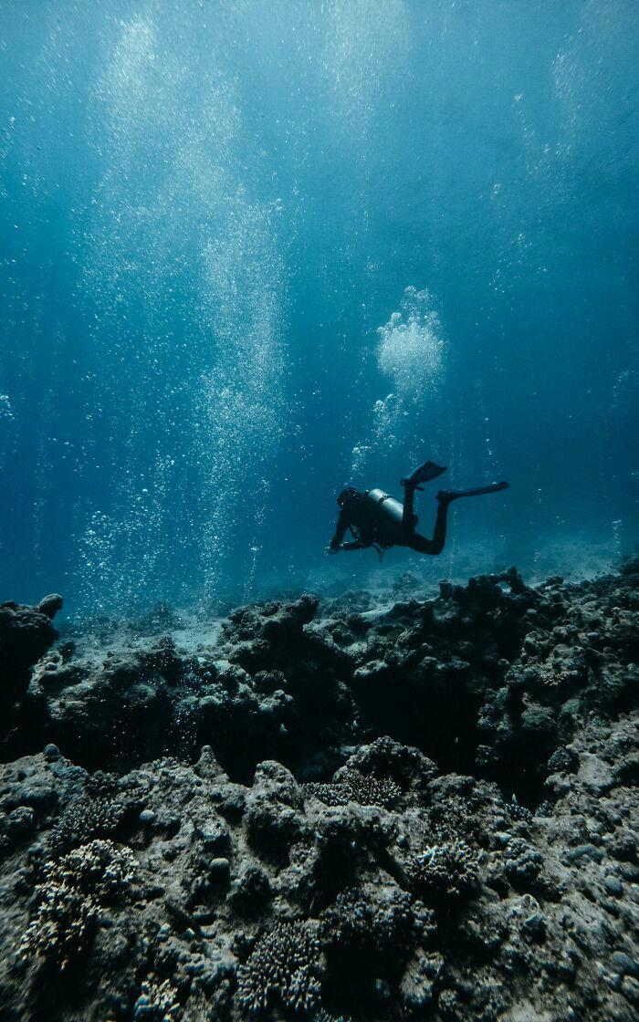 48 diving experiences people still remember years later