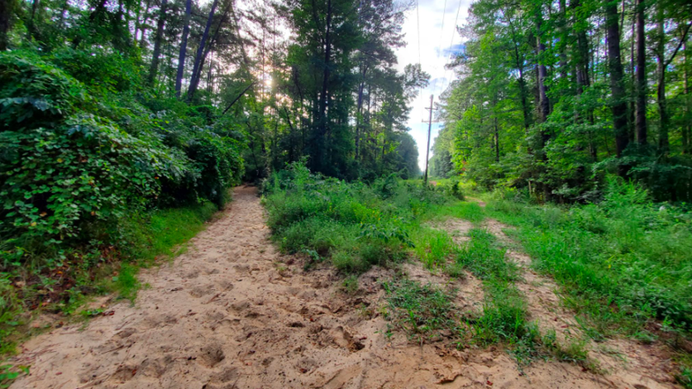The marvelous 2.5-mile trail in Louisiana leads to a hidden canyon