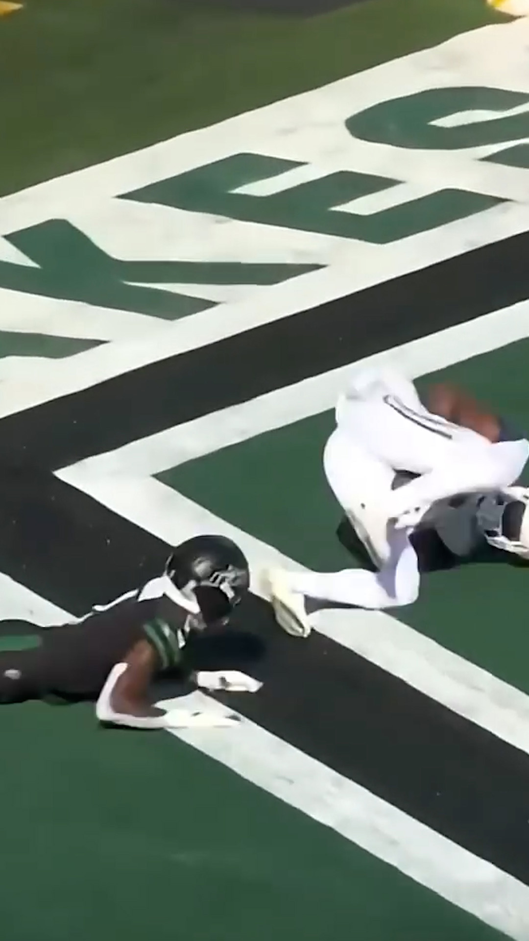 George Pickens 43-yard touchdown catch vs Cowboys