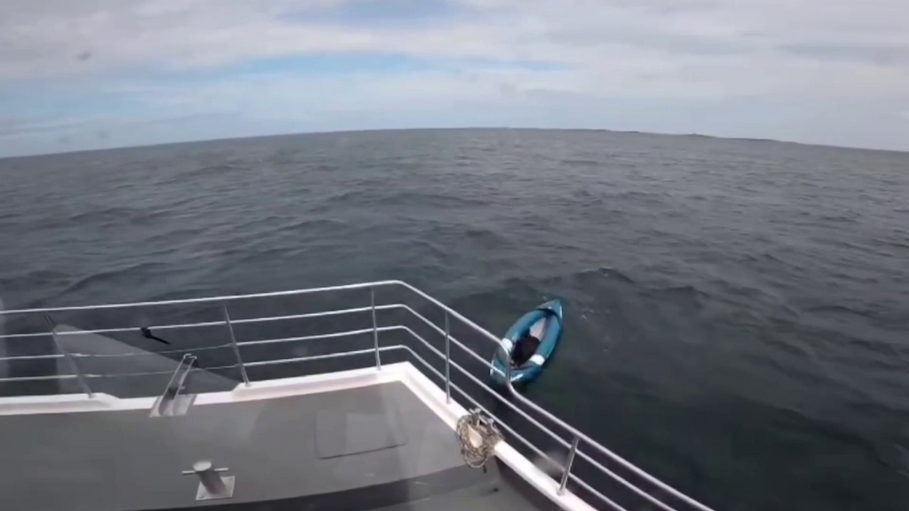 Dog rescued after floating out to sea on kayak