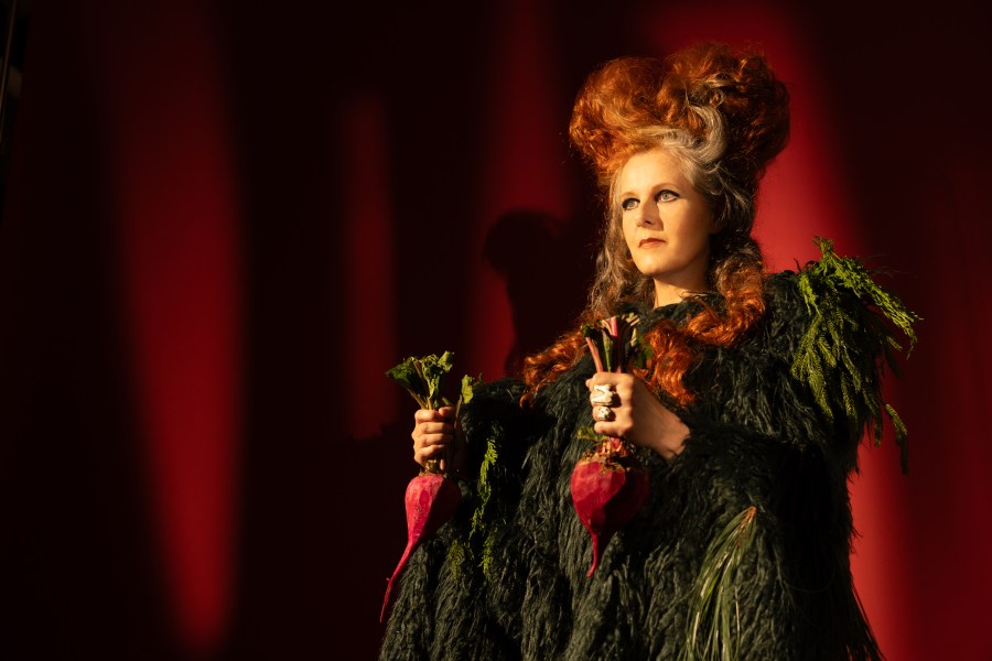 Grammy-nominated musician Neko Case to perform at Walton Arts Center
